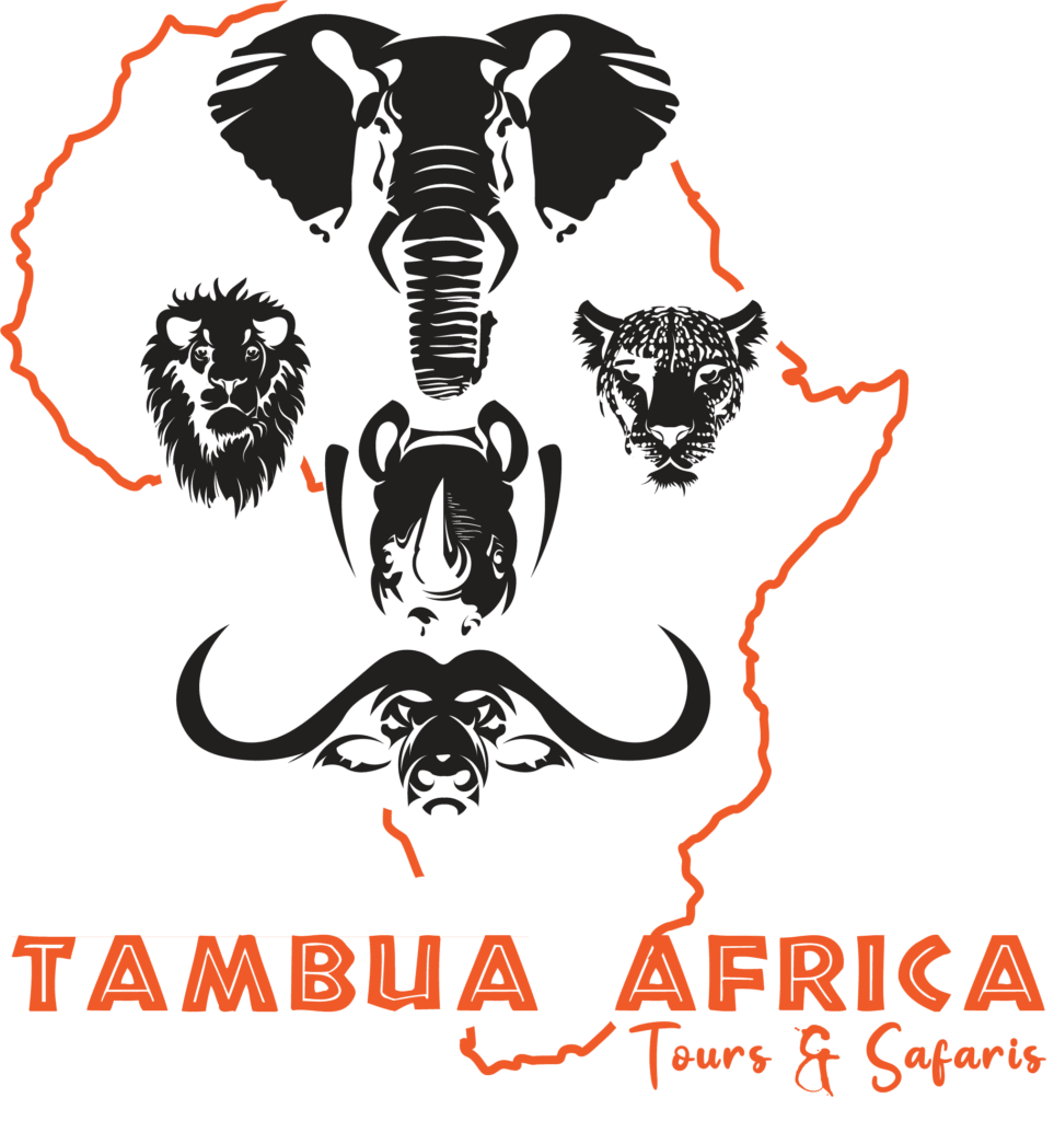 Home - Tambua Africa Tours & Safaris